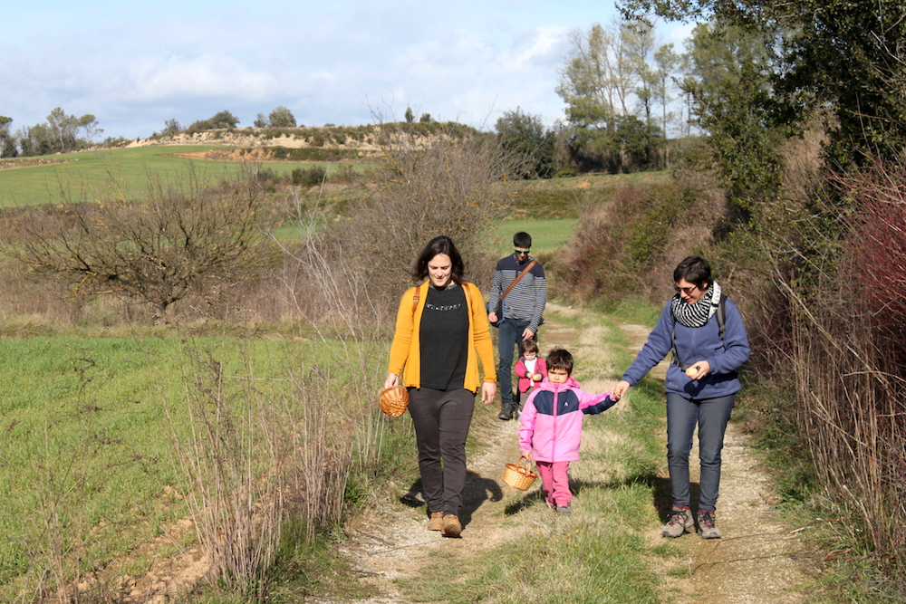 excursio – Sempre Viaggiando